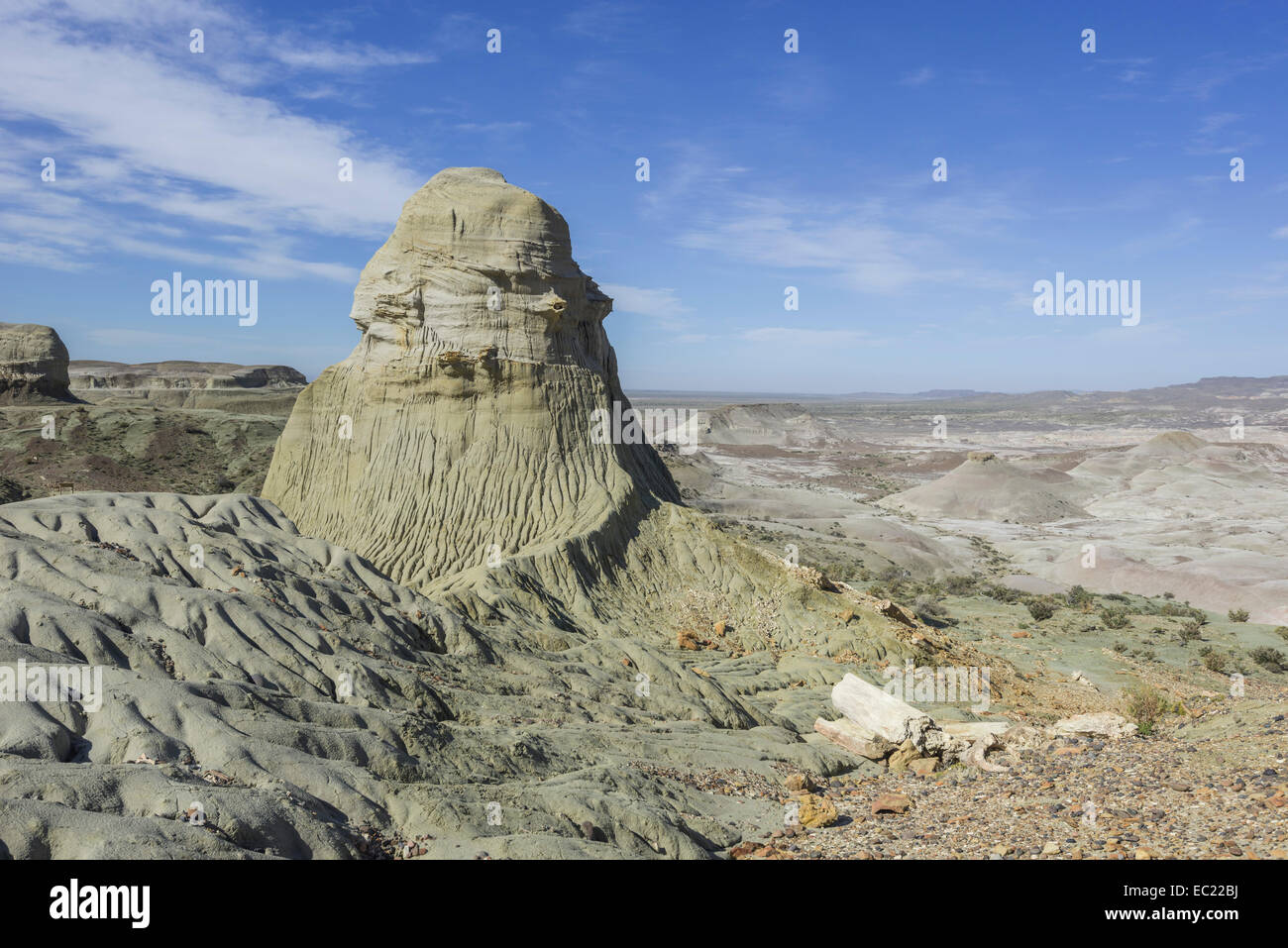 Petrified forest Bosque Petrificado National Monument, Sarmiento ...