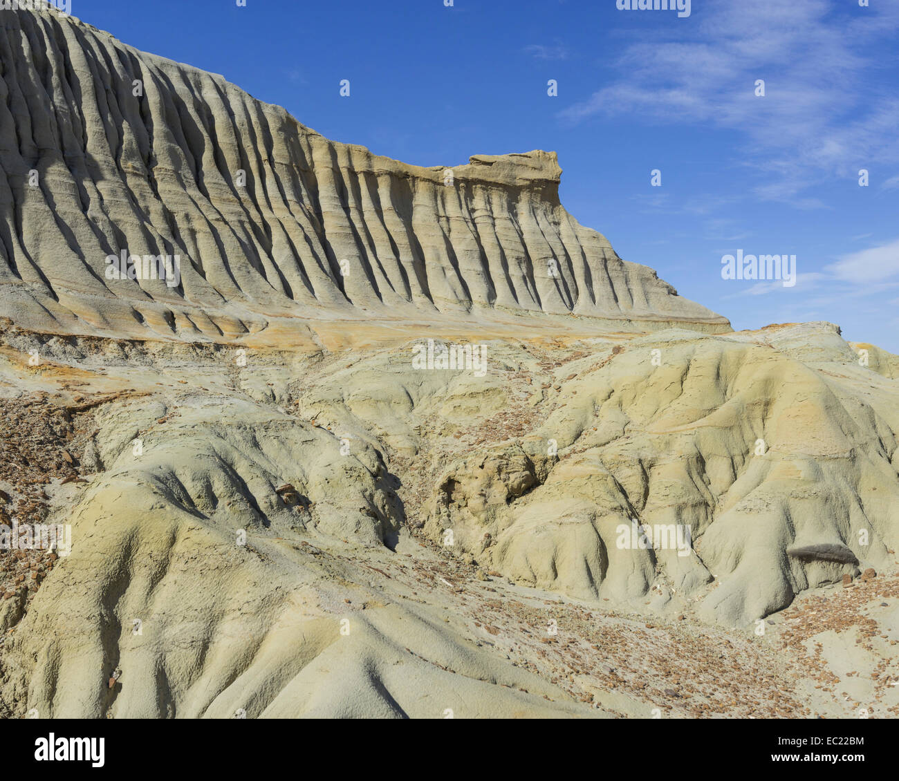 Petrified forest Bosque Petrificado National Monument, Sarmiento ...