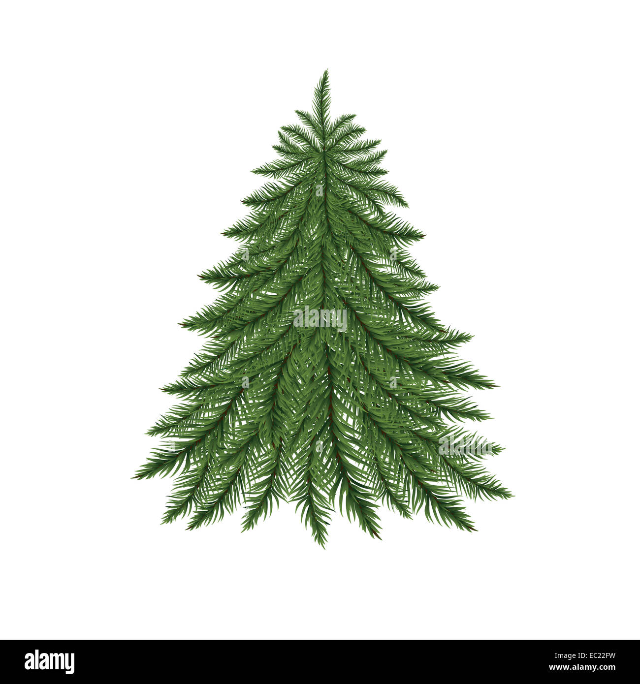 New growth pine tree Cut Out Stock Images & Pictures - Alamy