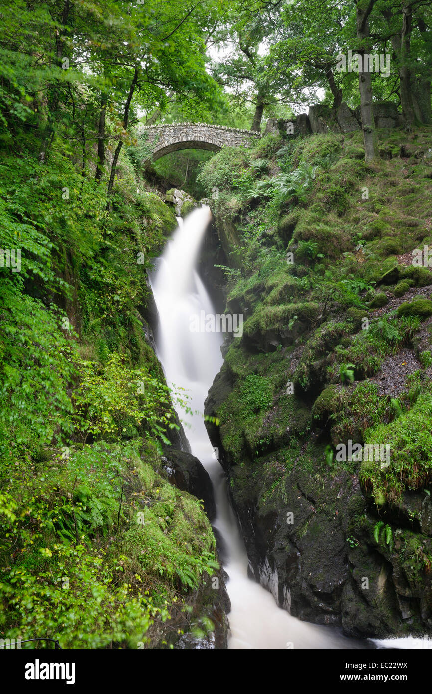 Bridge, Aira Force waterfall, Lake District National Park, Cumbria ...