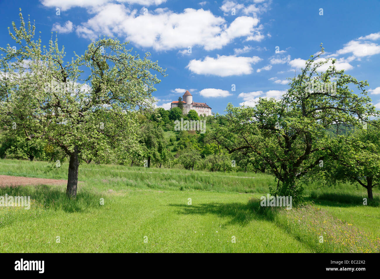 Reichenberg Castle, Oppenweiler, Rems Murr Kreis, Baden Wuerttemberg ...