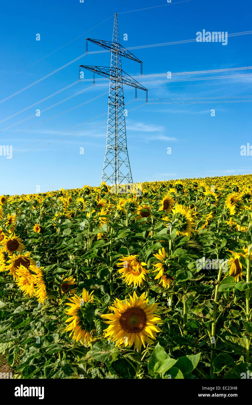 Transmission line hi-res stock photography and images - Alamy