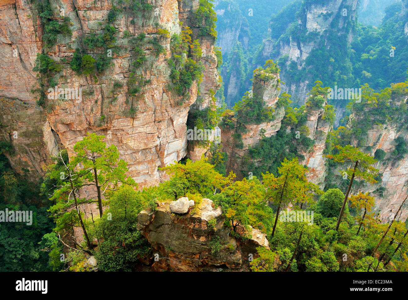 Avatar Mountains with vertical quartz-sandstone pillars, Zhangjiajie ...