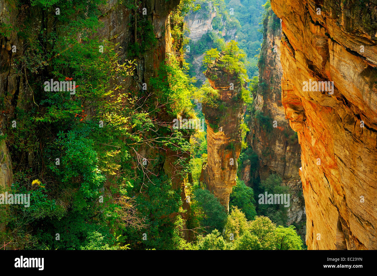 Avatar Mountains with vertical quartz-sandstone pillars, Zhangjiajie ...