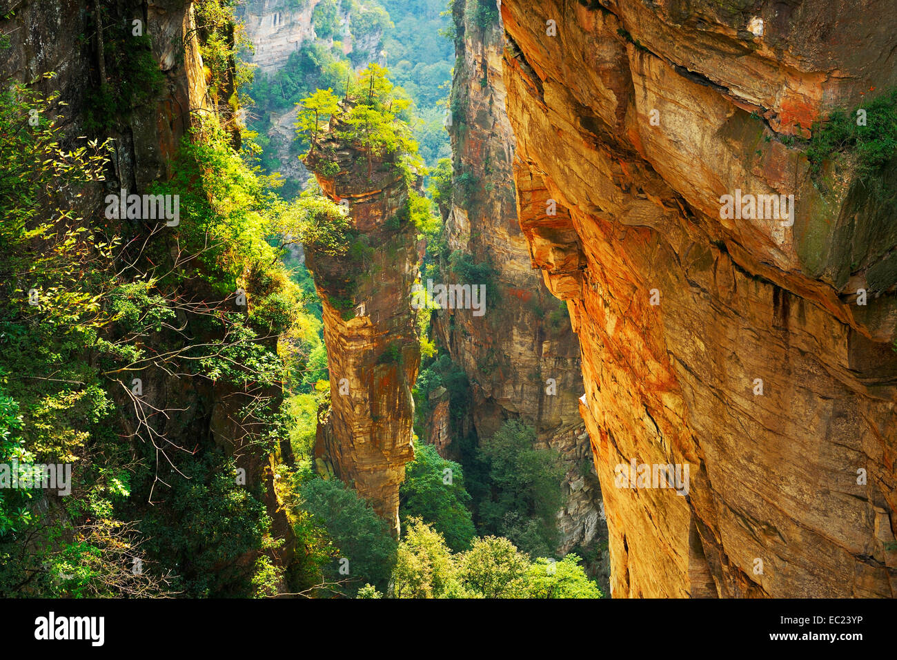 Avatar Mountains with vertical quartz-sandstone pillars, Zhangjiajie ...