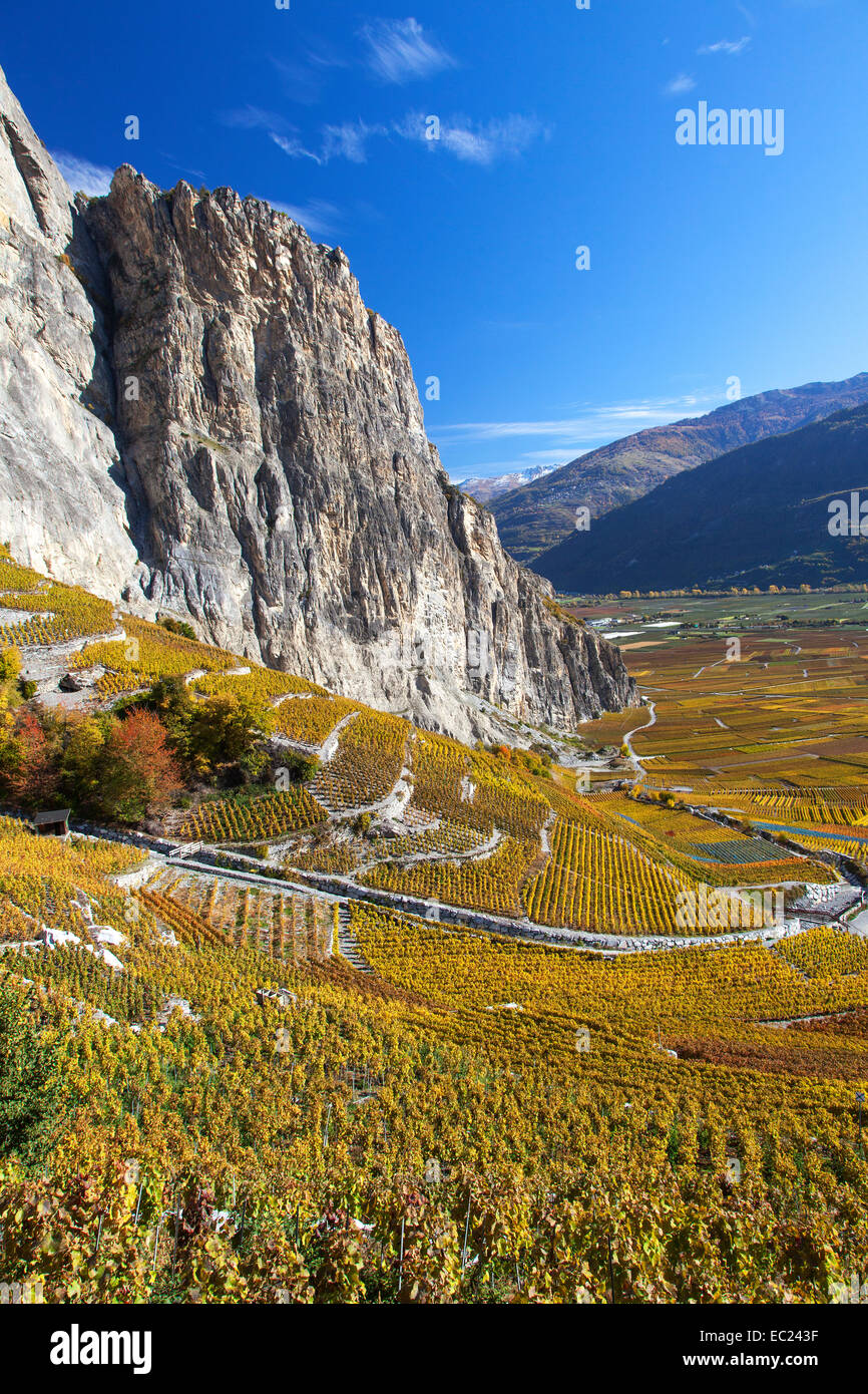 Vineyard Around Chamoson, Valais, Switzerland Stock Photo - Alamy