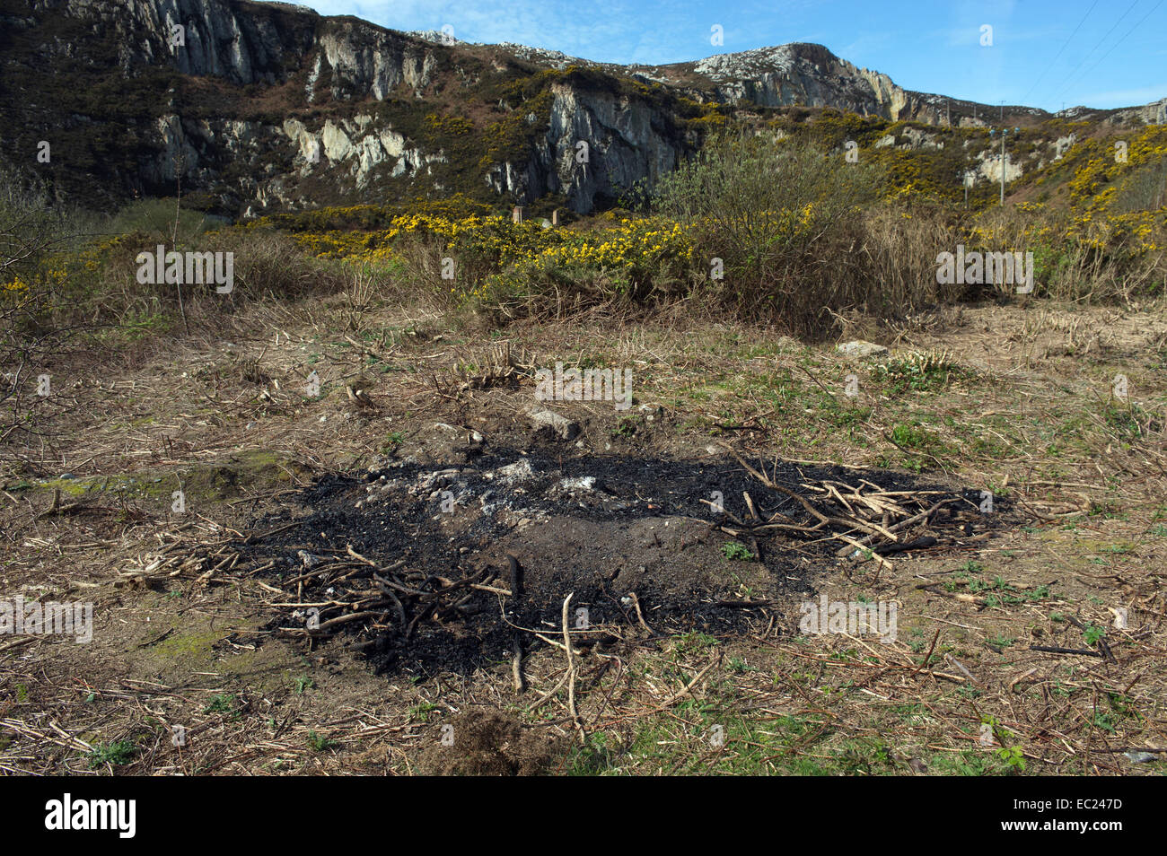 Anglesey - fire damage on heathland Stock Photo - Alamy