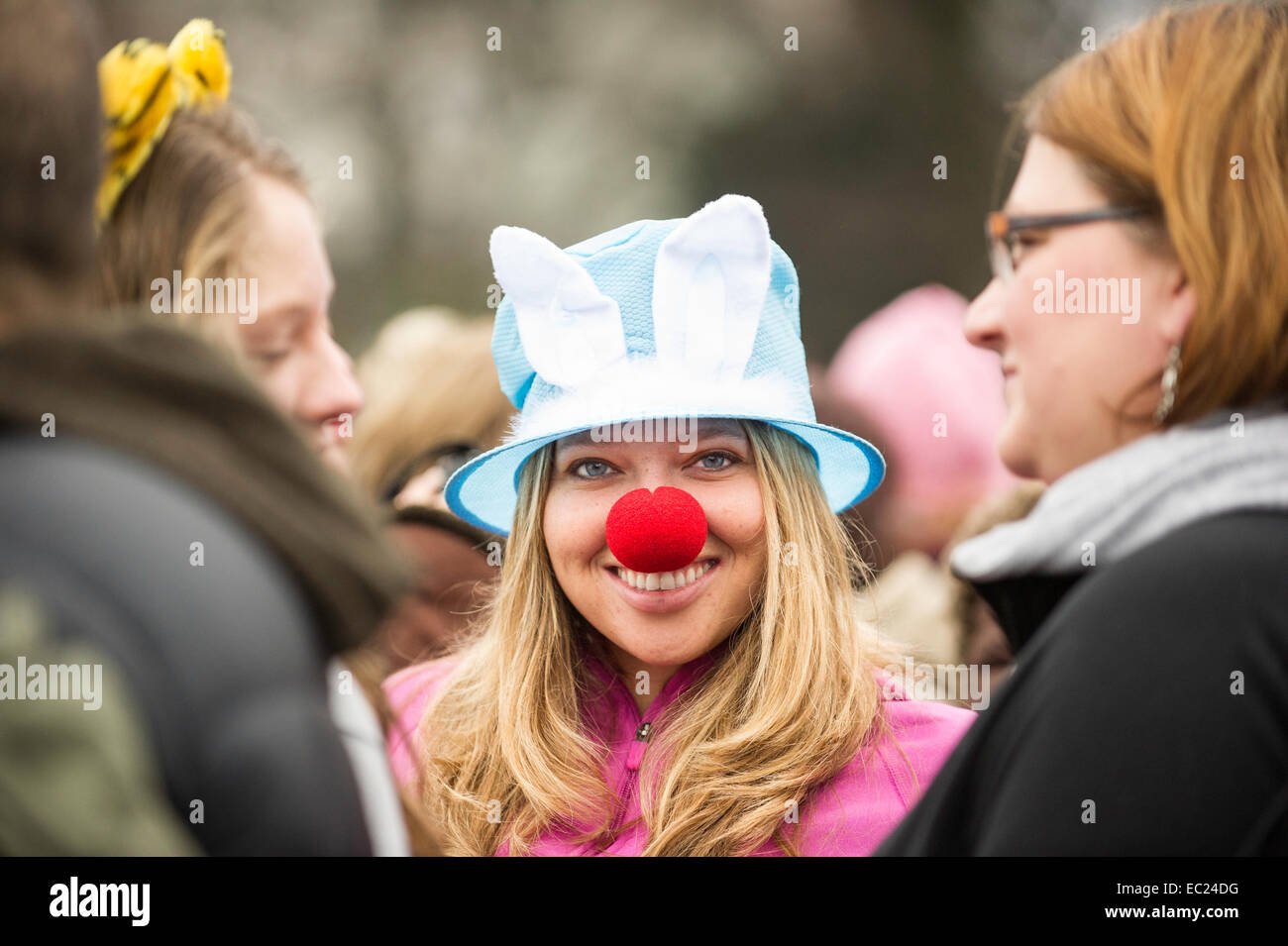 Red nose rabbit hi-res stock photography and images - Alamy
