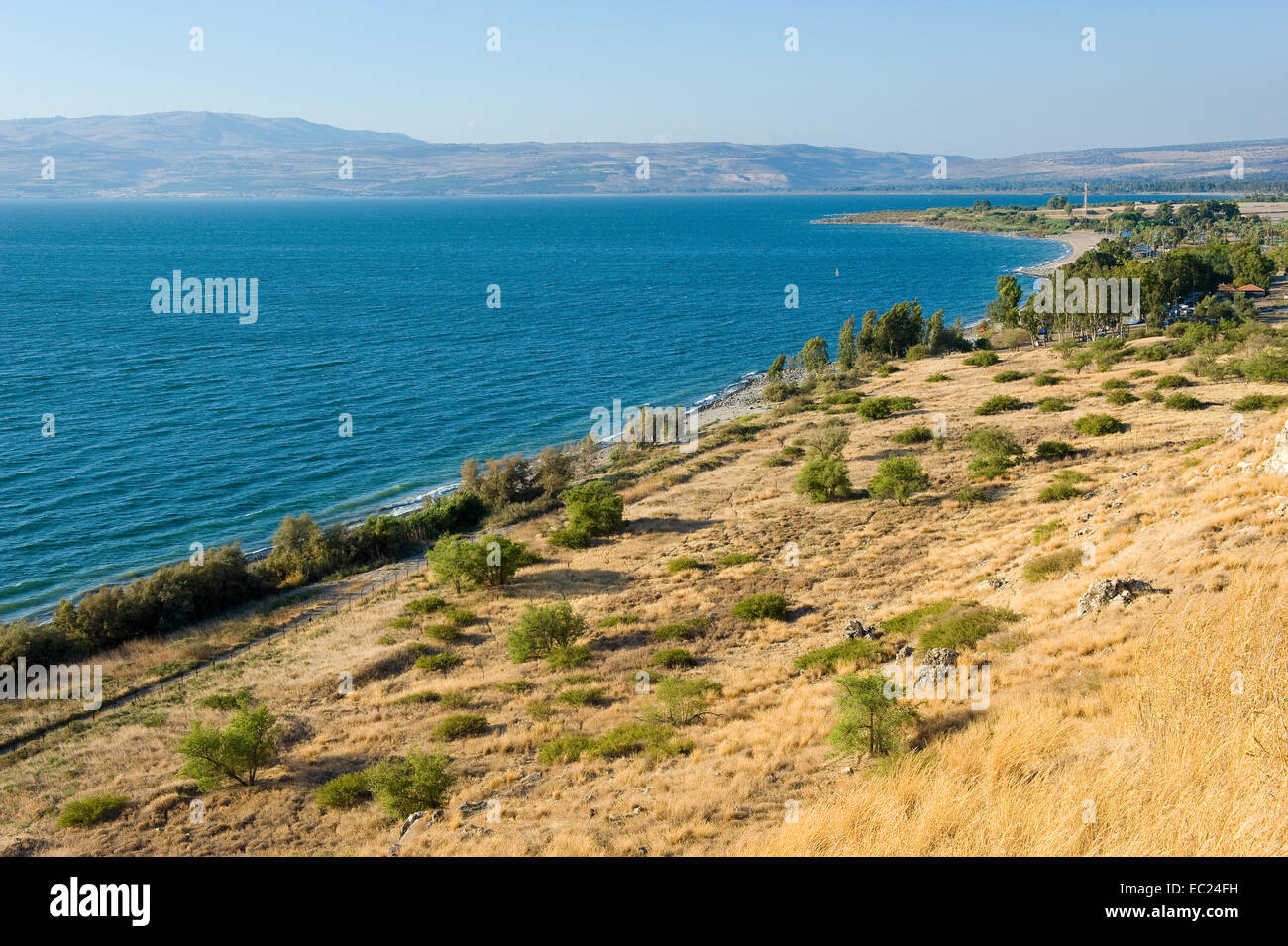 The east coast of the Sea of Galilee in Israel Stock Photo - Alamy