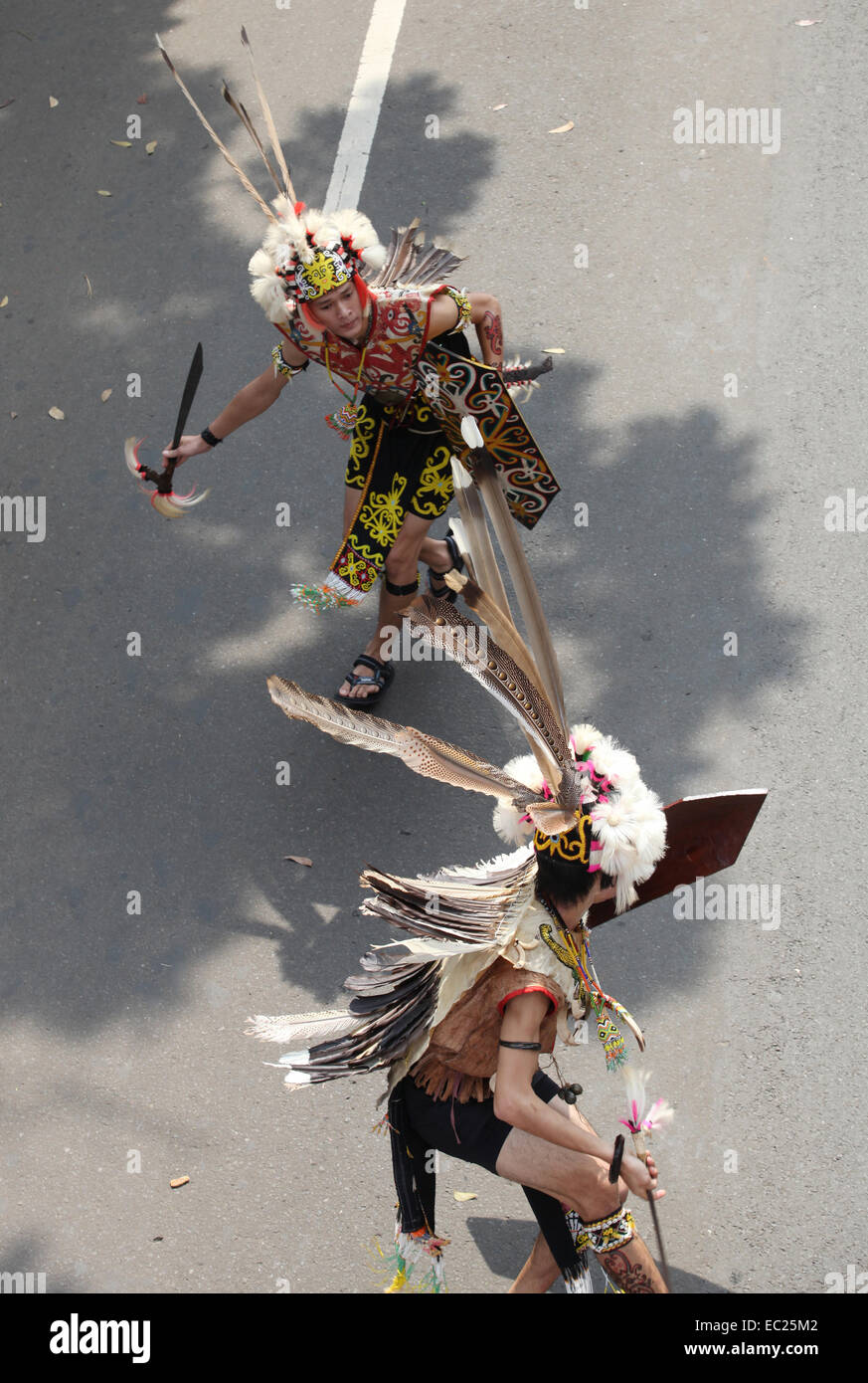 War dances of Dayak tribes Stock Photo - Alamy
