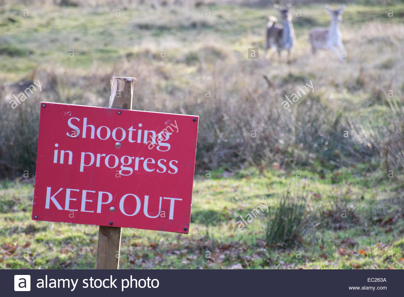 Warning Shooting In Progress High Resolution Stock Photography and ...