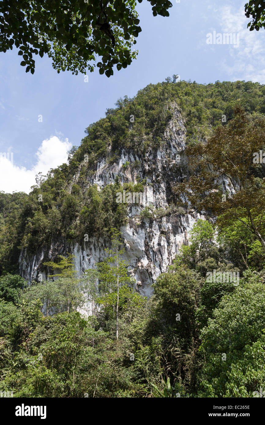 Limestone cliffs in the rainforest at Deer Cave entrance, Mulu ...