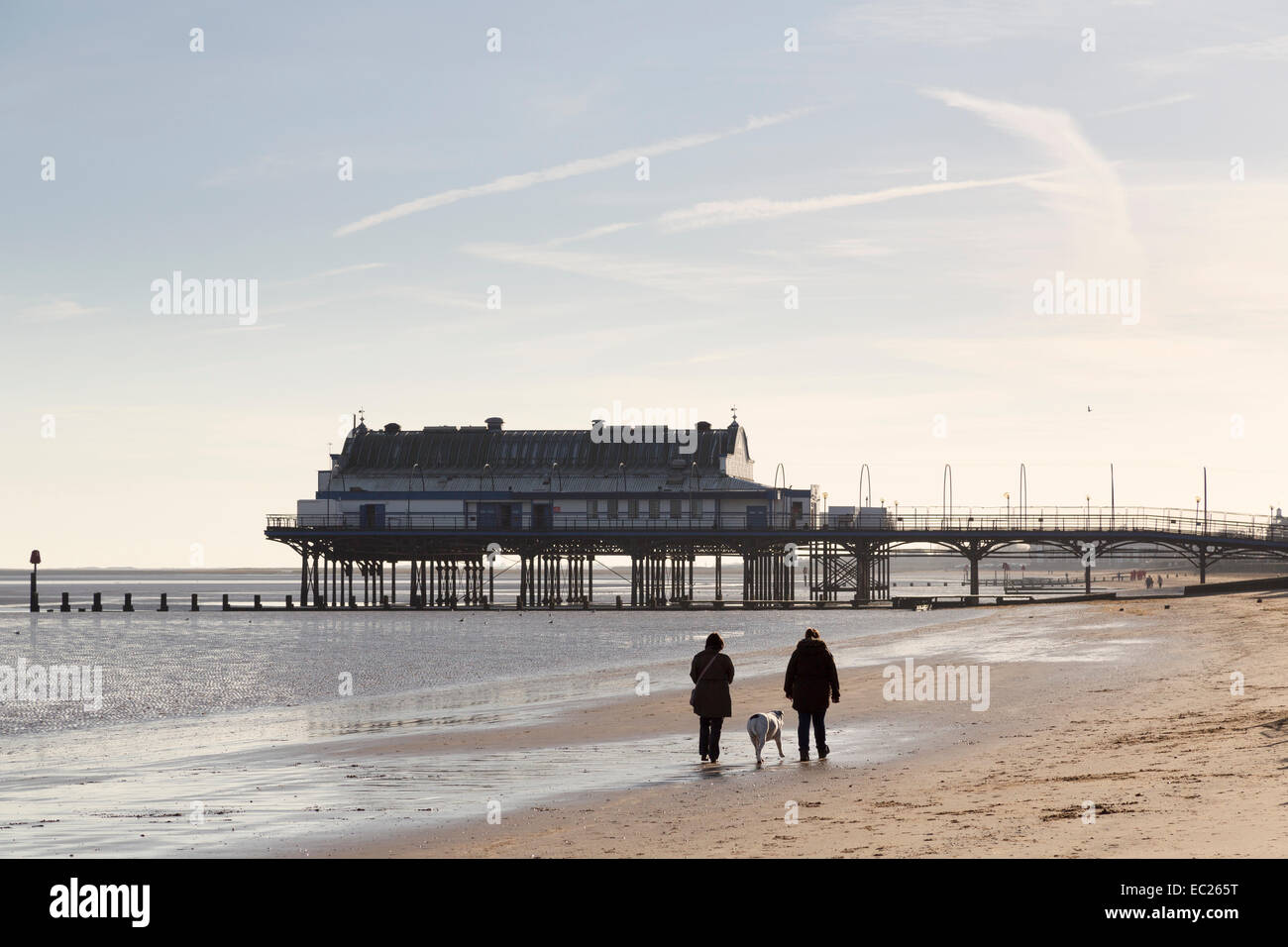 Dog people uk hi-res stock photography and images - Alamy