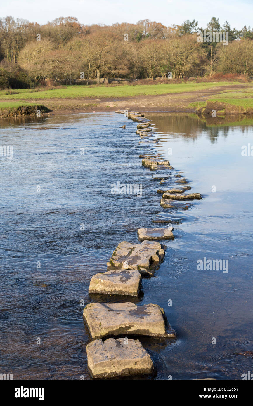 Stepping stones across river at Ogmore Castle, Wales, UK Stock Photo ...