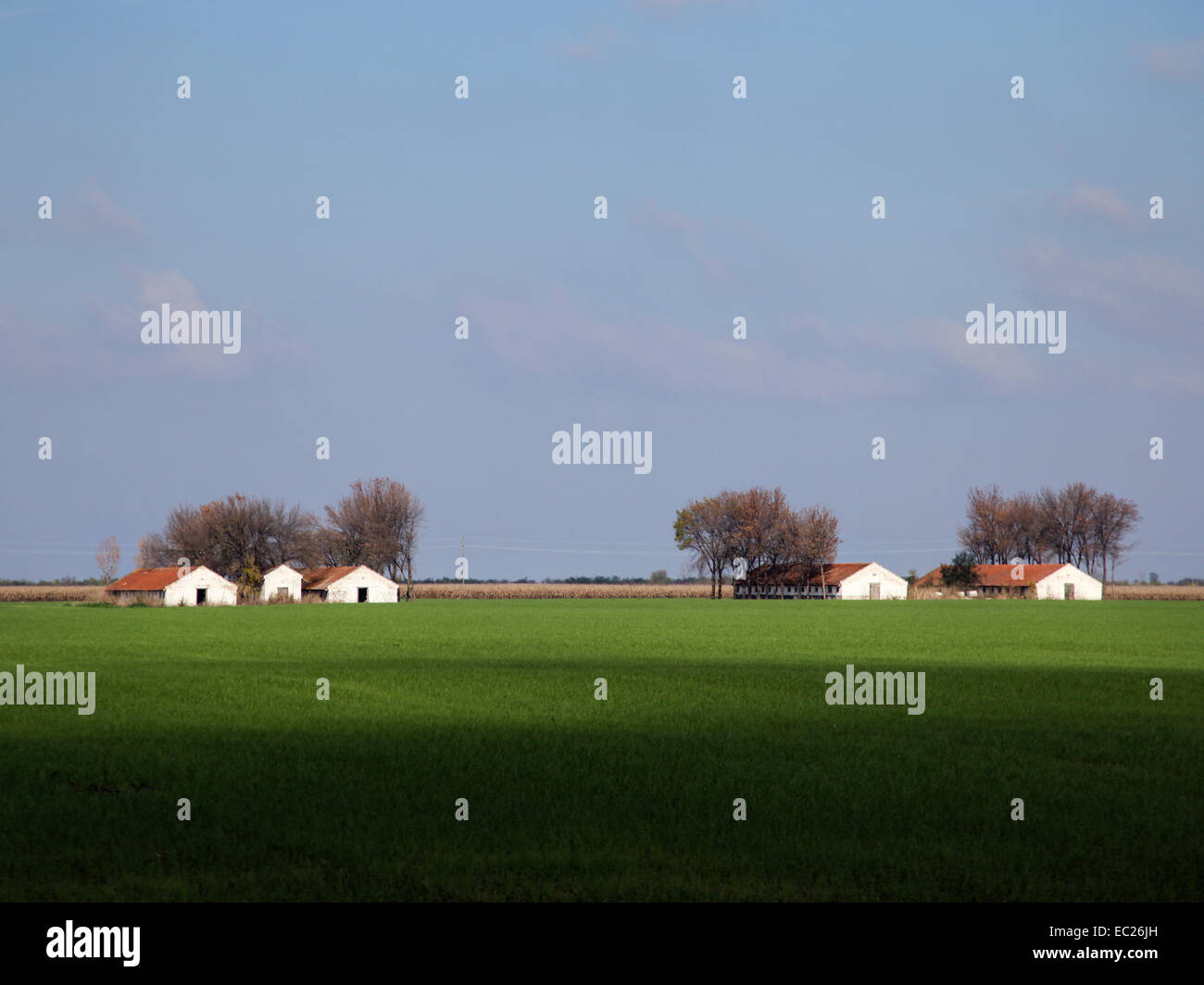 Serbia banat hi-res stock photography and images - Alamy
