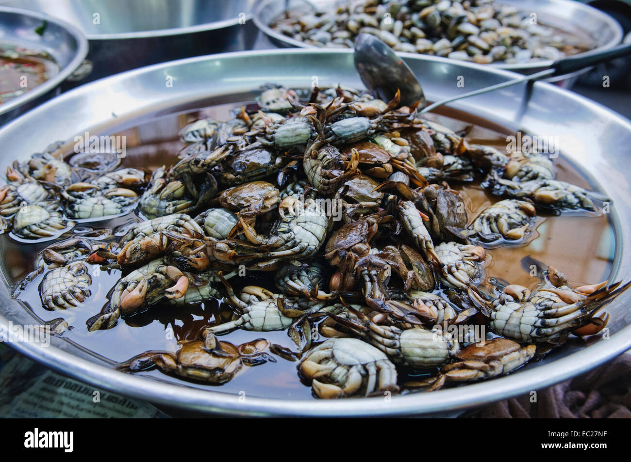 Fresh crab hi-res stock photography and images - Alamy