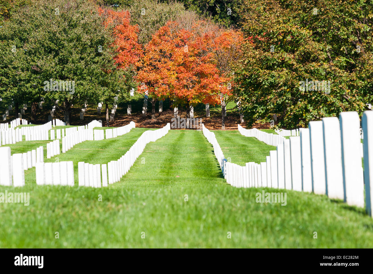 Arlington Cemetery, rows of white headstones Stock Photo - Alamy