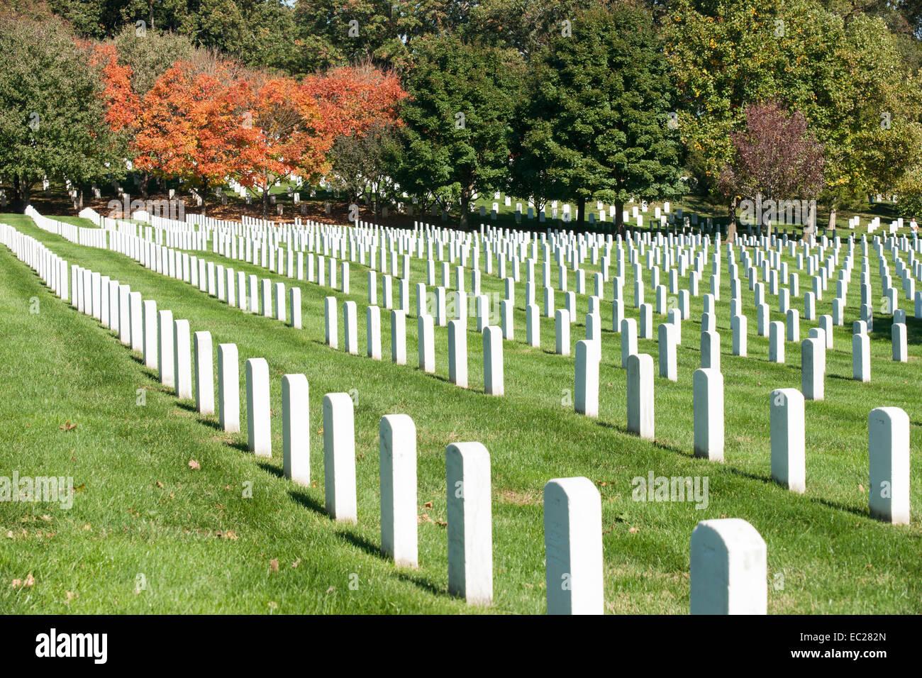 Arlington Cemetery, rows of white headstones Stock Photo - Alamy