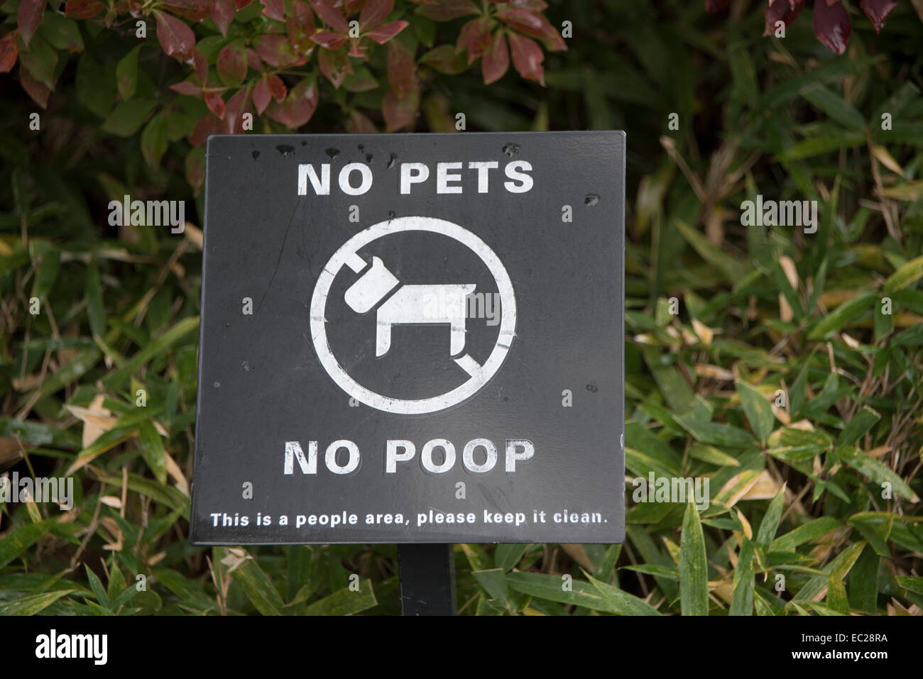 Japanese dog mess sign Stock Photo - Alamy