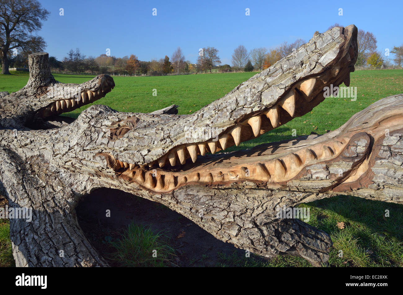 Crocodile sculpture in fallen tree Stratford Park, Stroud Stock Photo ...
