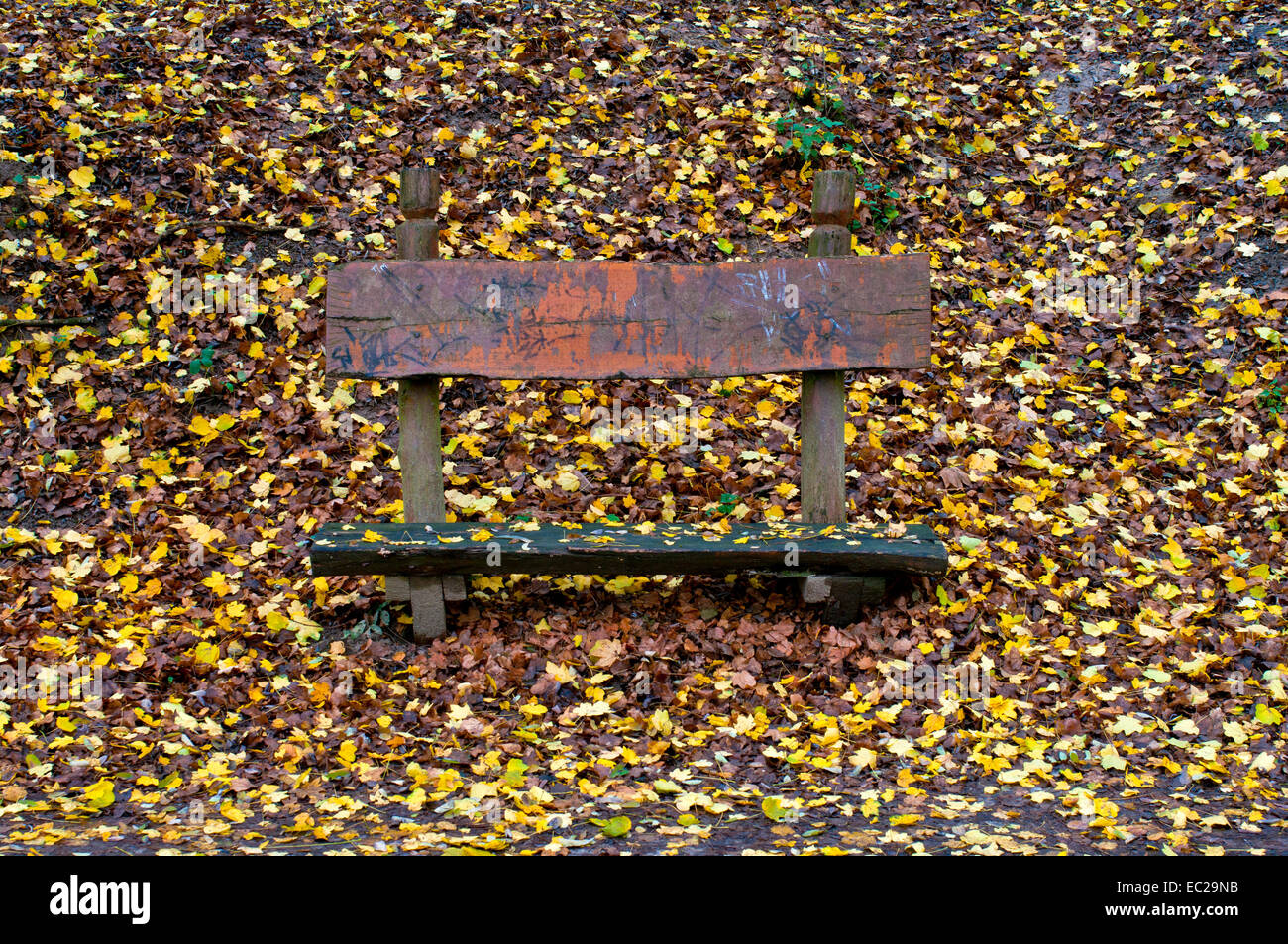 Man bush background hi-res stock photography and images - Alamy