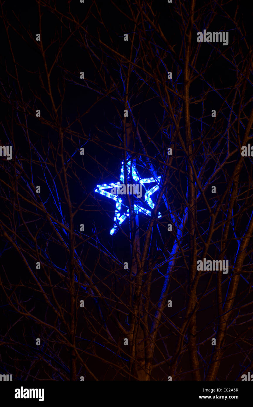 Blue Christmas star light in a tree at night Stock Photo - Alamy