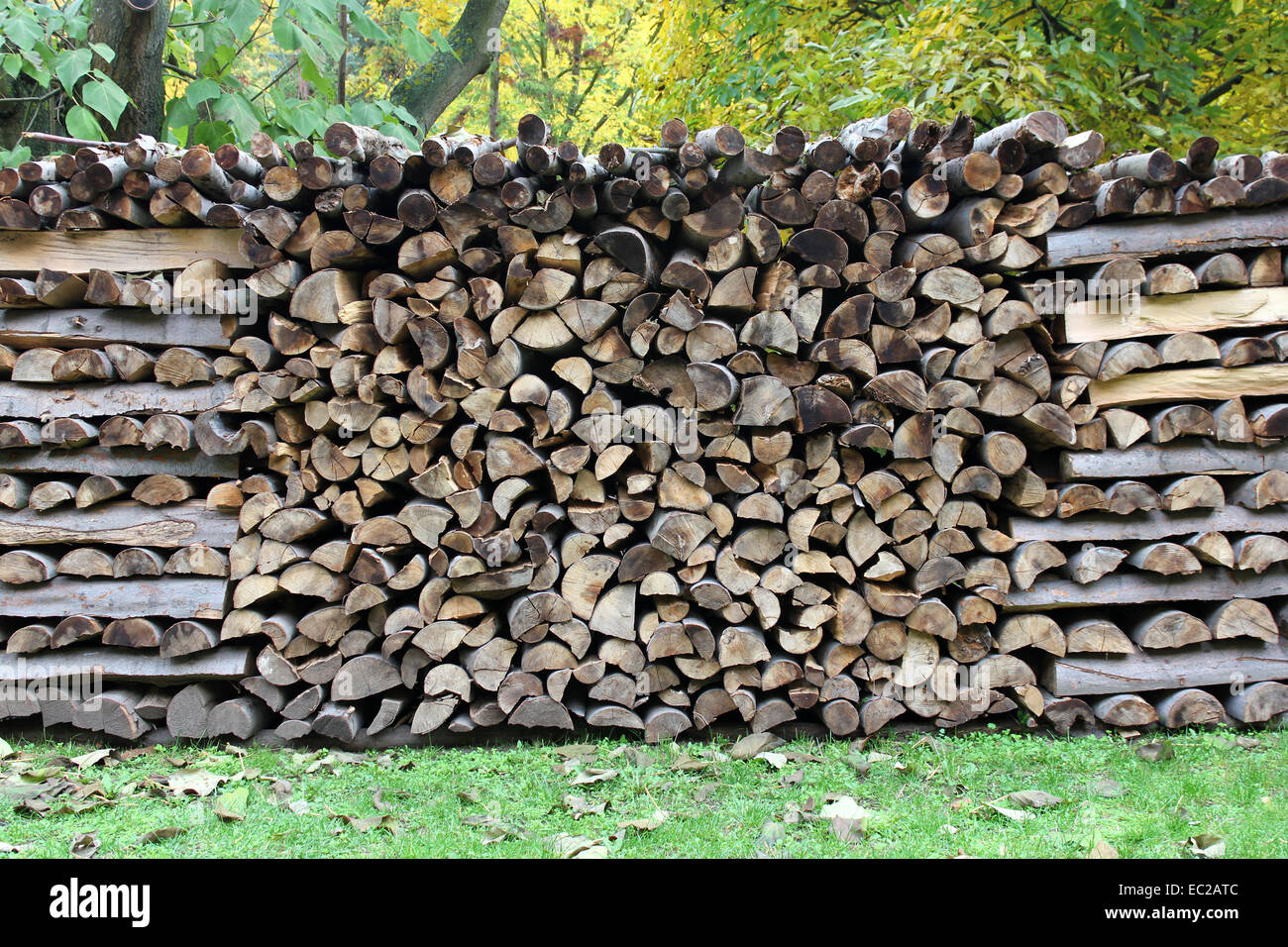 log pile in the forest, autumn background Stock Photo - Alamy