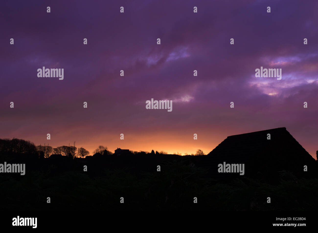 Vivid sunsets over houses and trees which are in silhouette Stock Photo ...