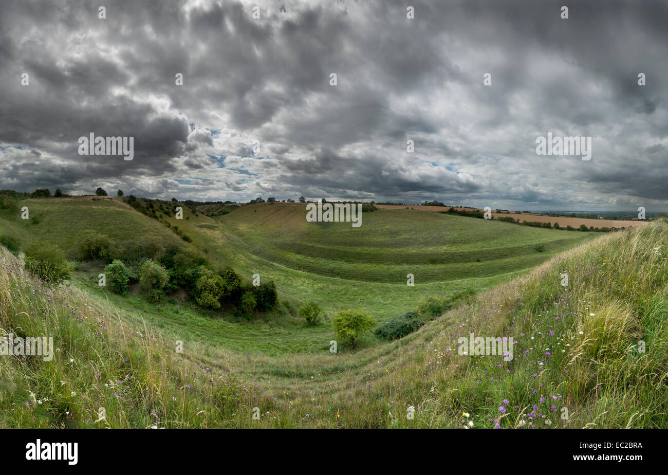 The Coombes national trust reserve, Hinton Parva near Swindon Wiltshire ...
