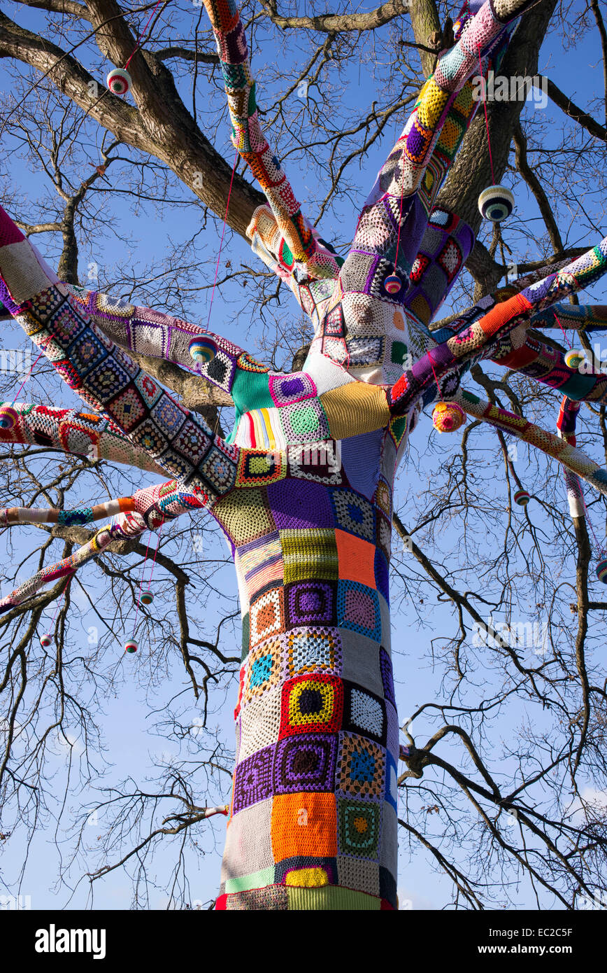 Patchwork knitted sleeve covering an oak tree in winter in Stratford ...