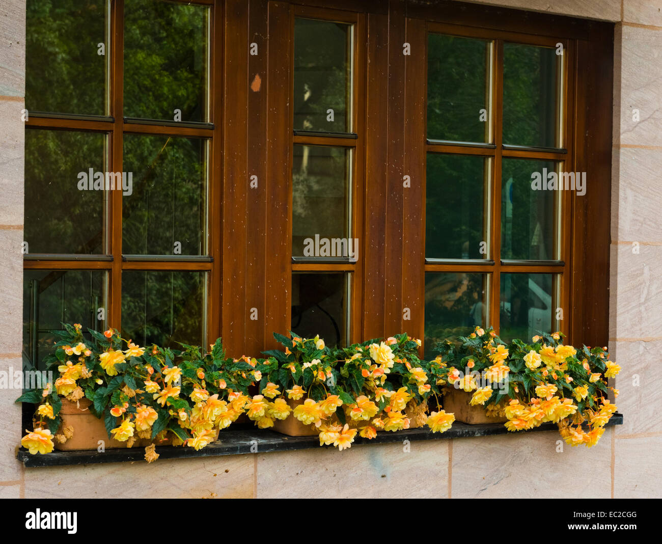 Window decorated with flower in Nuremberg Stock Photo - Alamy