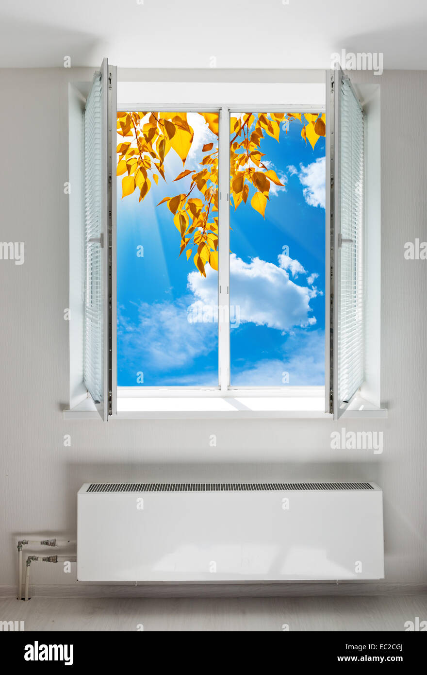 Autumn view from window Stock Photo - Alamy