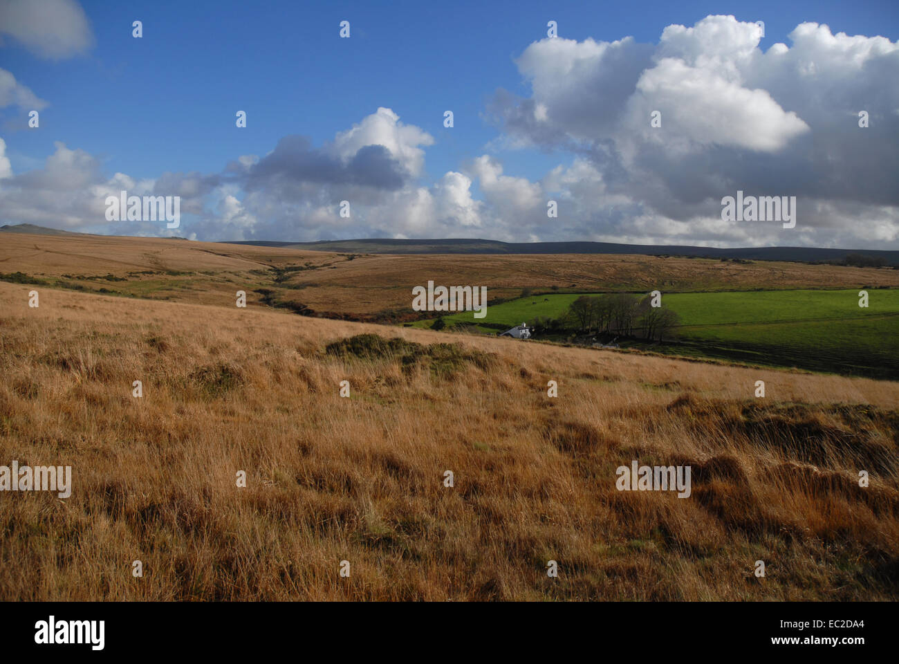 English moors hi-res stock photography and images - Alamy