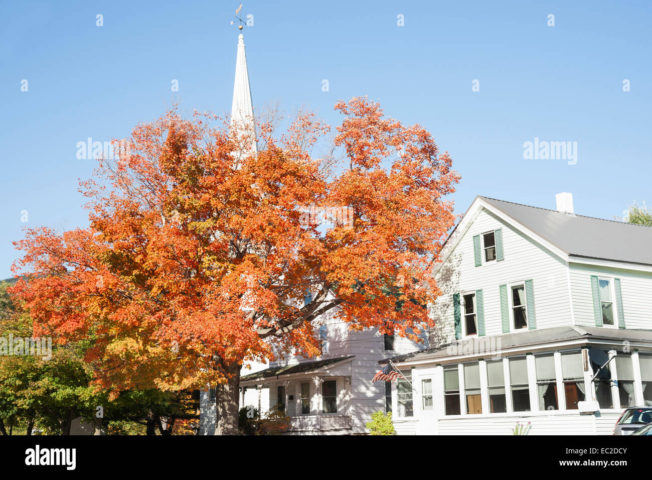 Traditional white wooden church behind bright fall colored tree. Gorham ...