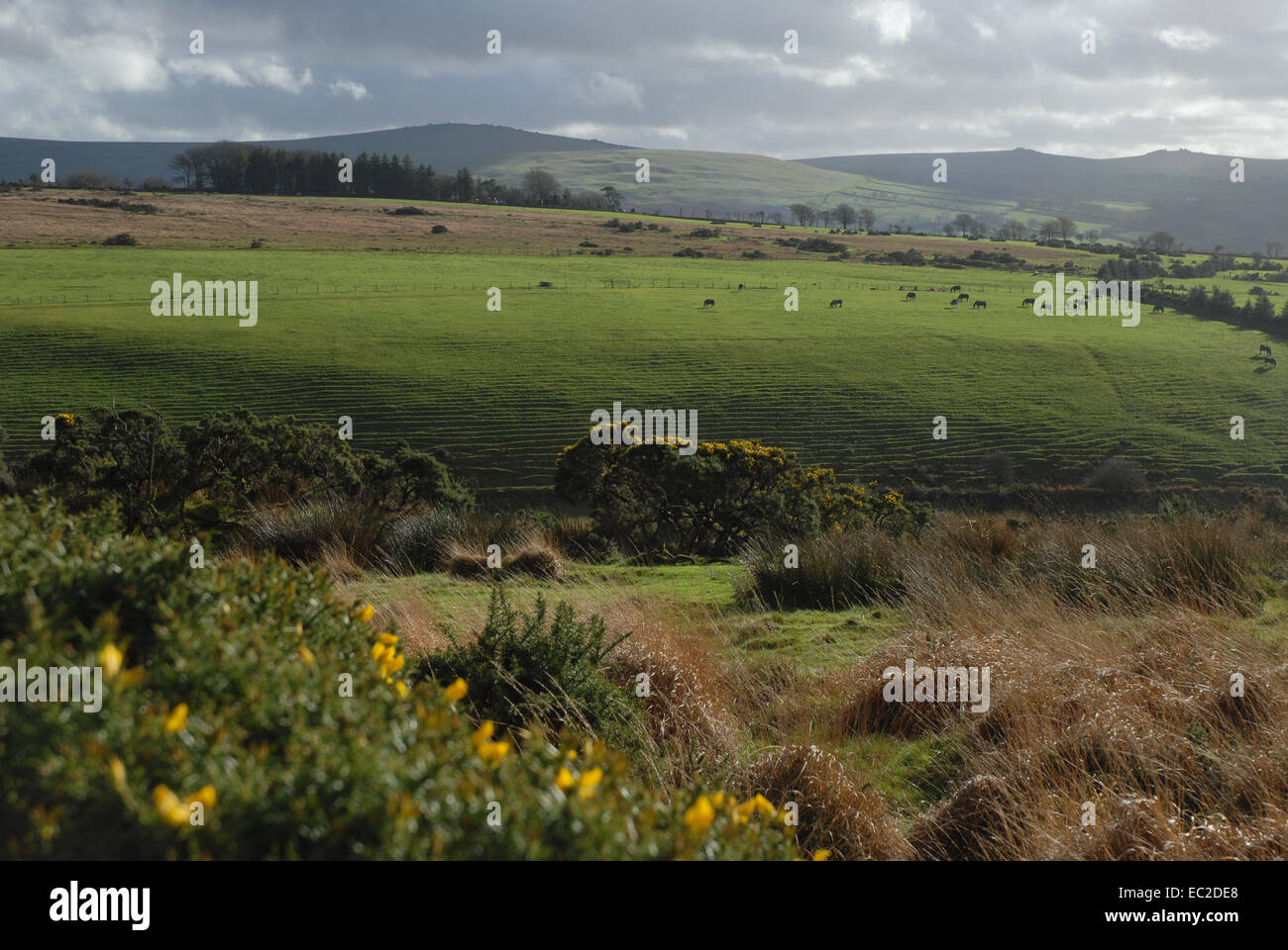 Mary tavy hi-res stock photography and images - Alamy