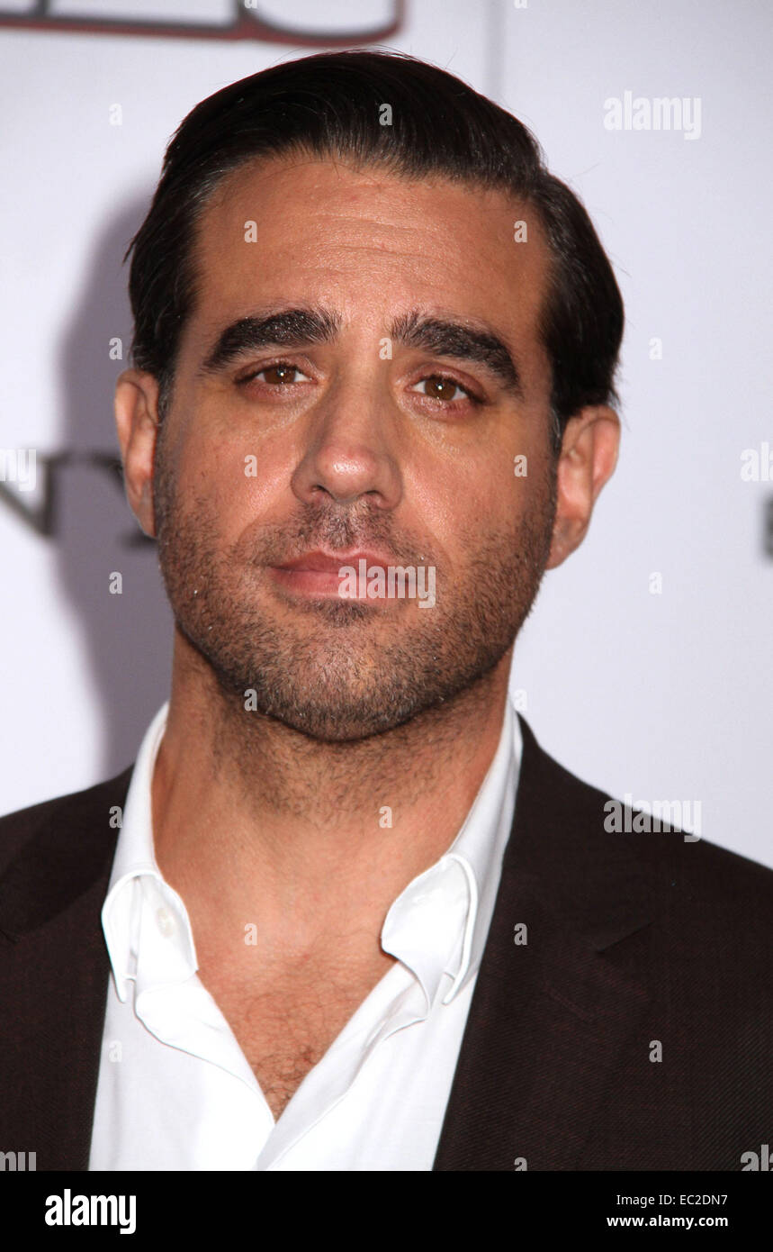 New York, USA. 7th Dec, 2014. Actor BOBBY CANNAVALE attends the world ...