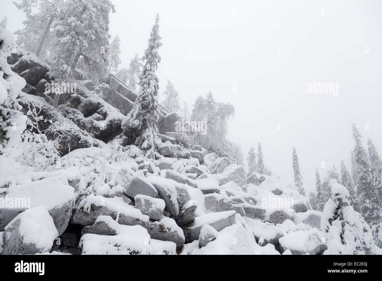 Rock slides in the winter forest Stock Photo - Alamy