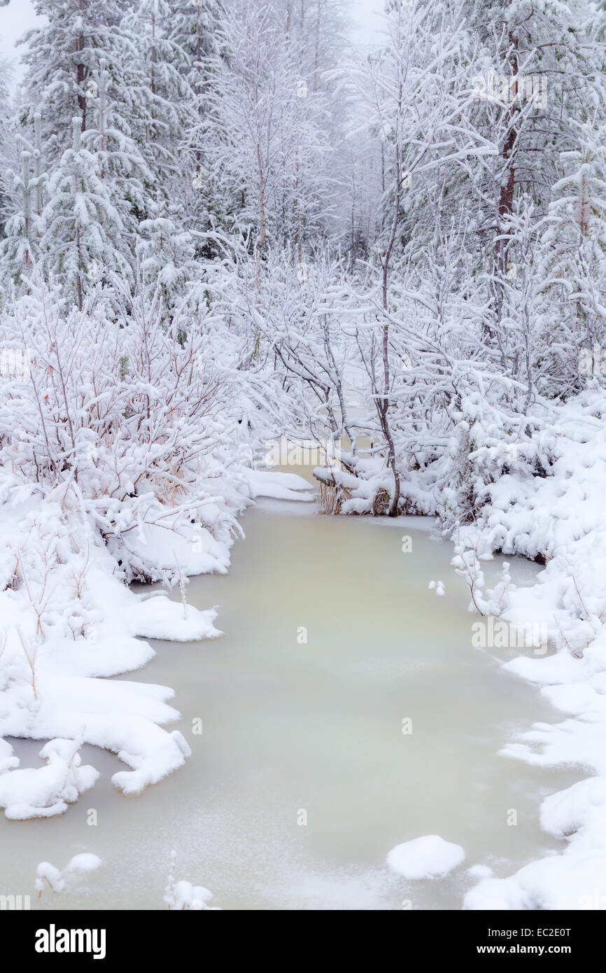 White frozen ice hi-res stock photography and images - Alamy