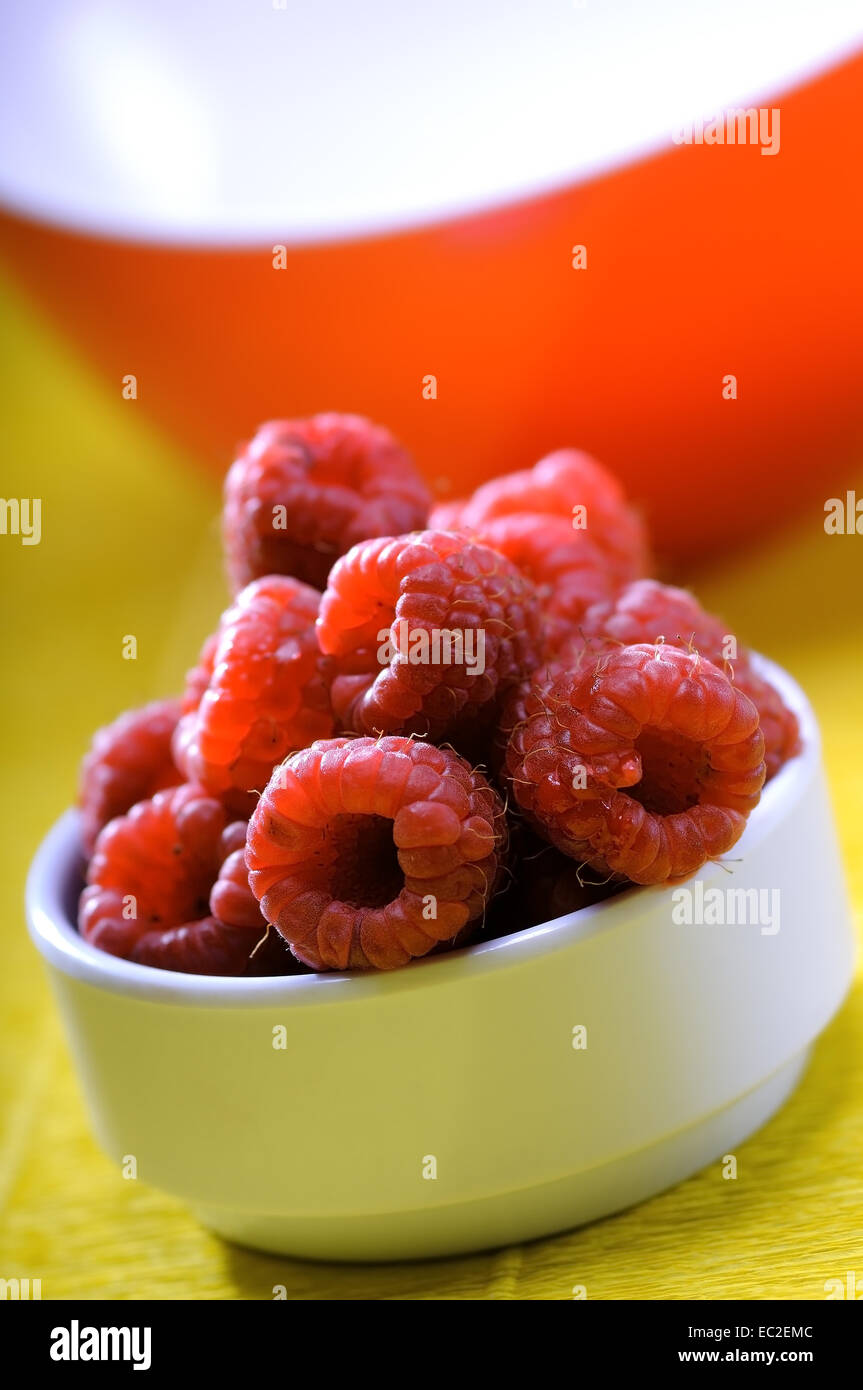 A beautiful selection of freshly picked ripe red raspberries Stock ...