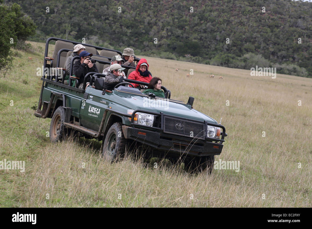 safari vehicle at the kariega game reserve in south africa Stock Photo ...