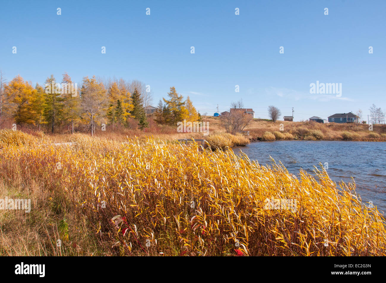 Cree indigenous community of Mistissini in Cree territory of James Bay ...
