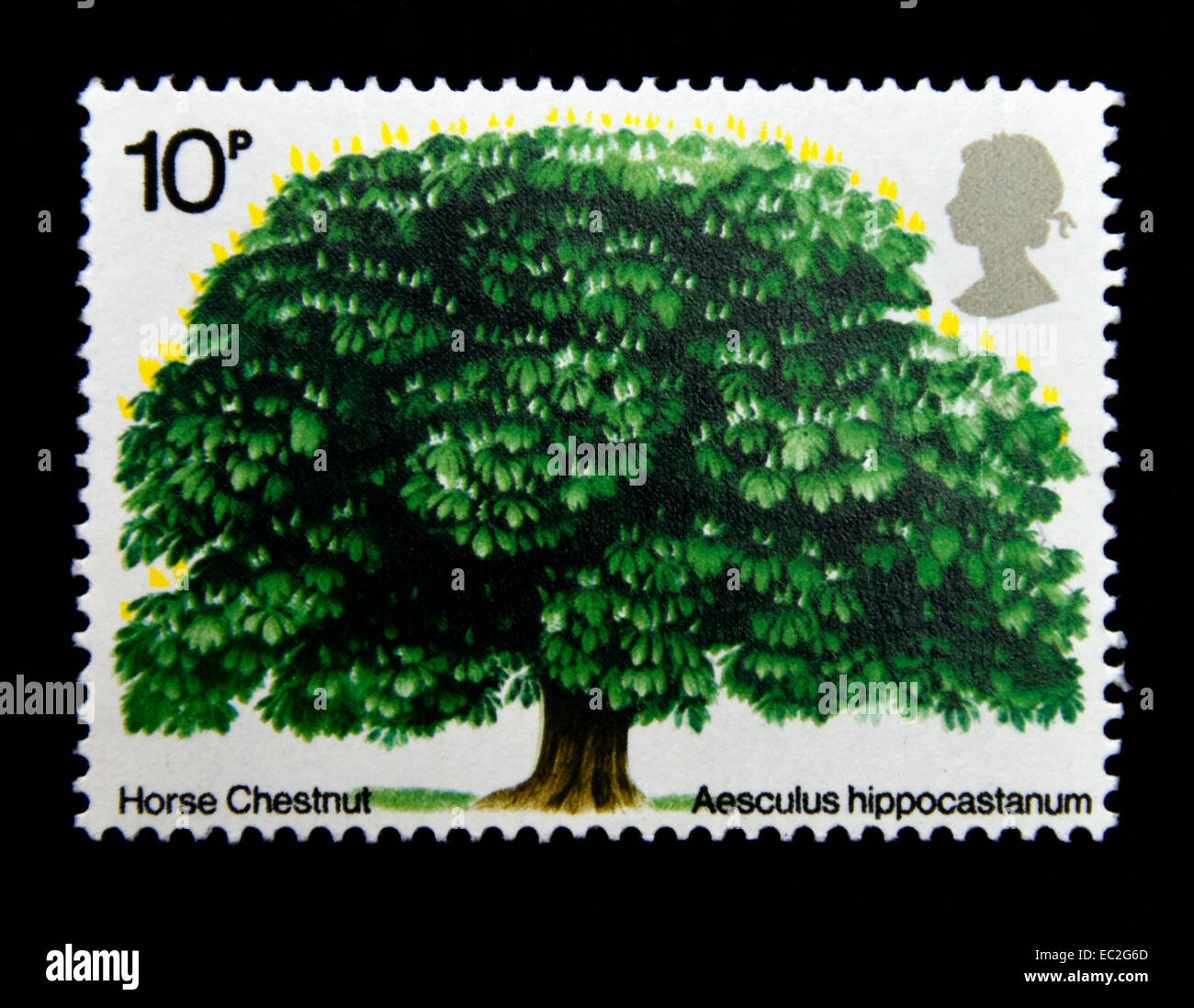 Postage stamp. Great Britain. Queen Elizabeth II. 1973. British Trees ...