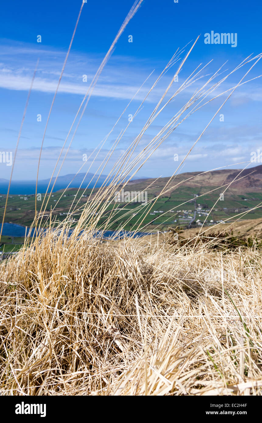 Hillside on Ring of Kerry, Ireland Stock Photo - Alamy