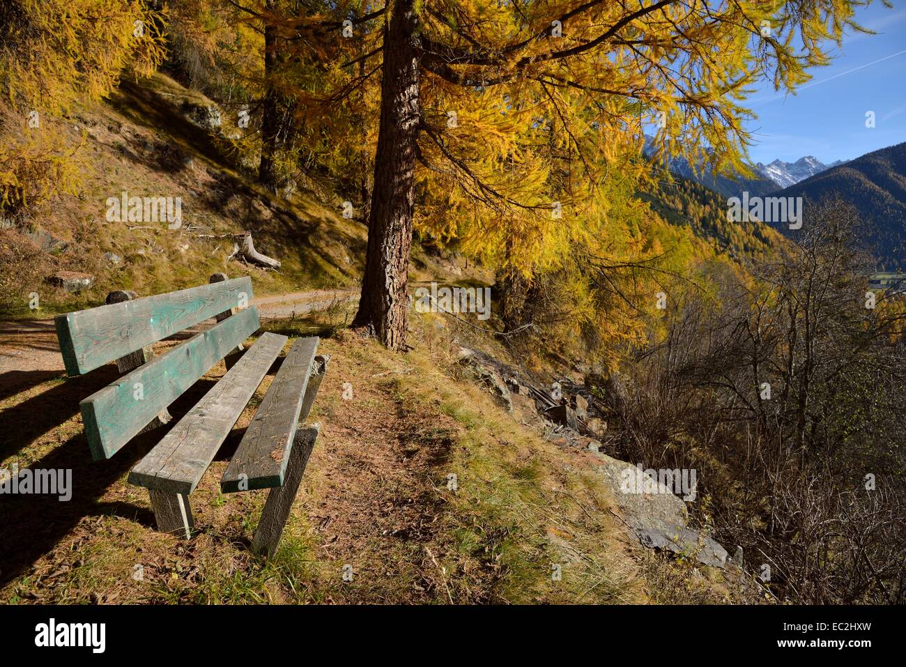 Switzerland bench hi-res stock photography and images - Alamy