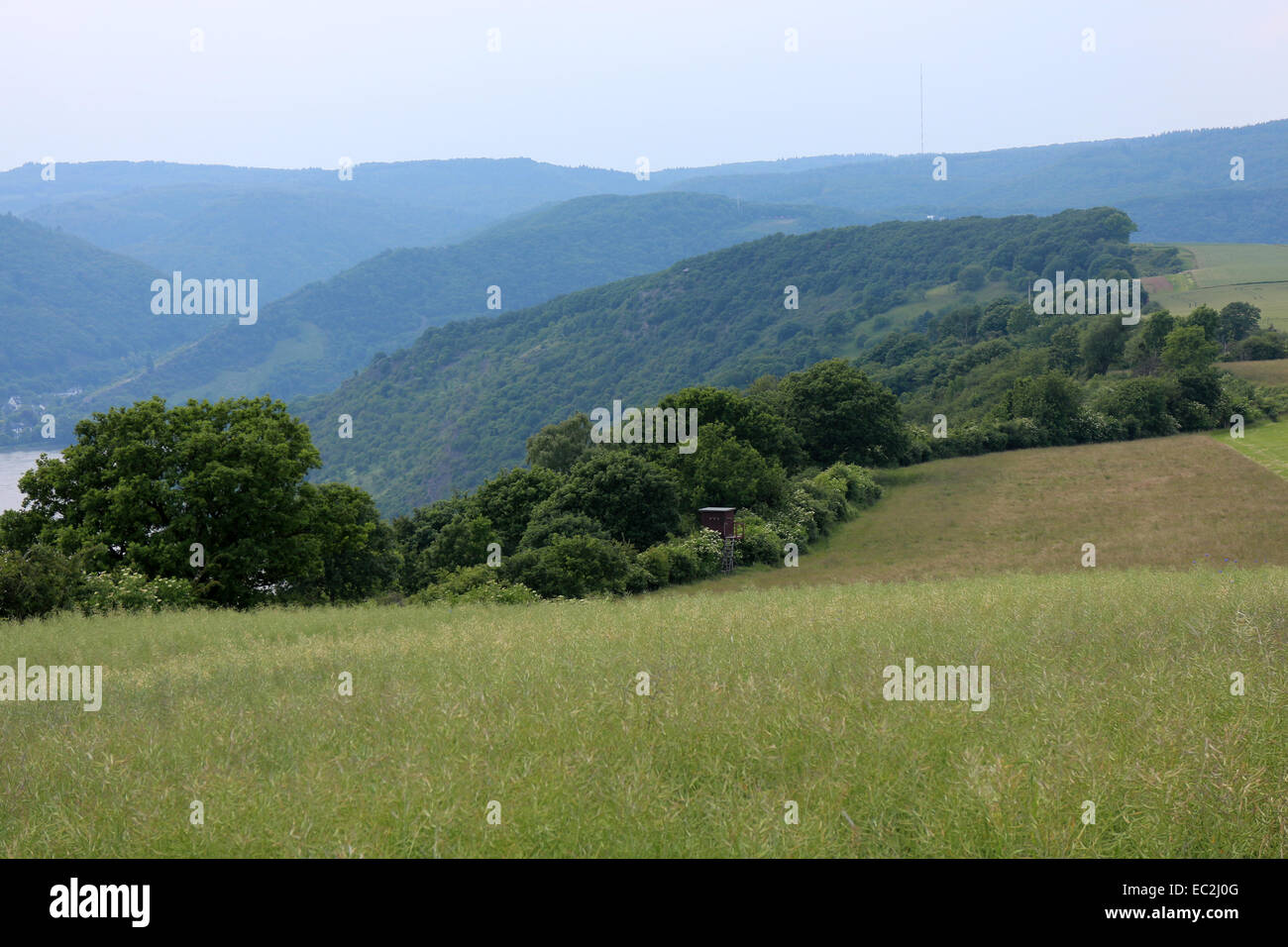 Fields on the Rhine plateau at Kamp-Bornhofen - Rheinsteig - Kamp ...