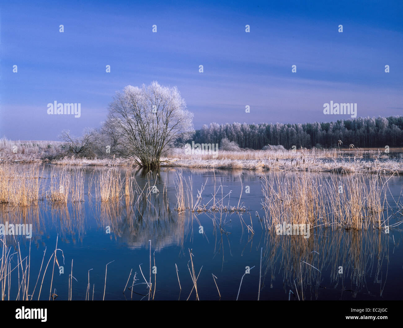 Masurian Lake District In Winter Poland Stock Photo Alamy