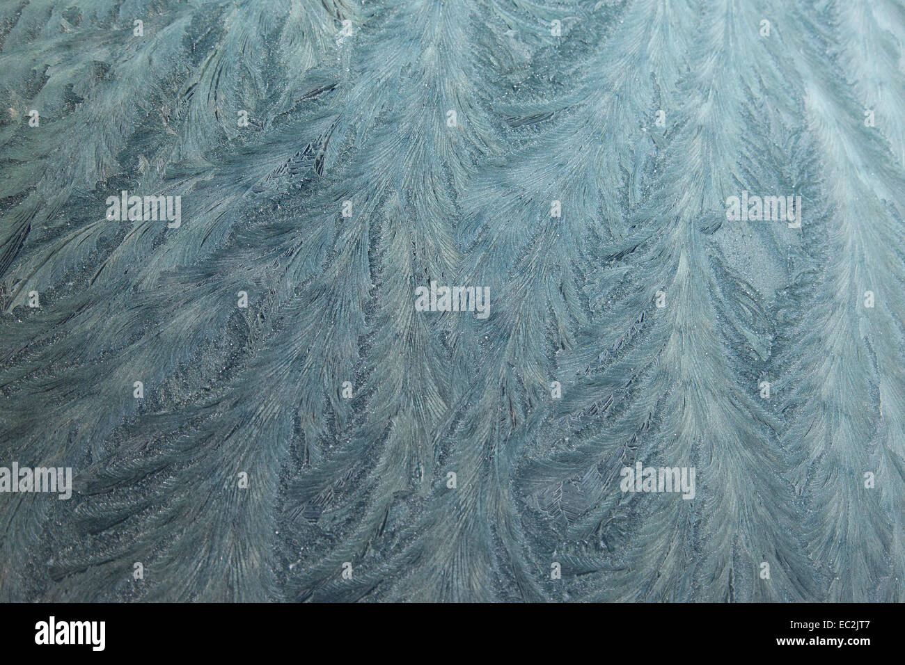 Patterns of the nature hi-res stock photography and images - Alamy
