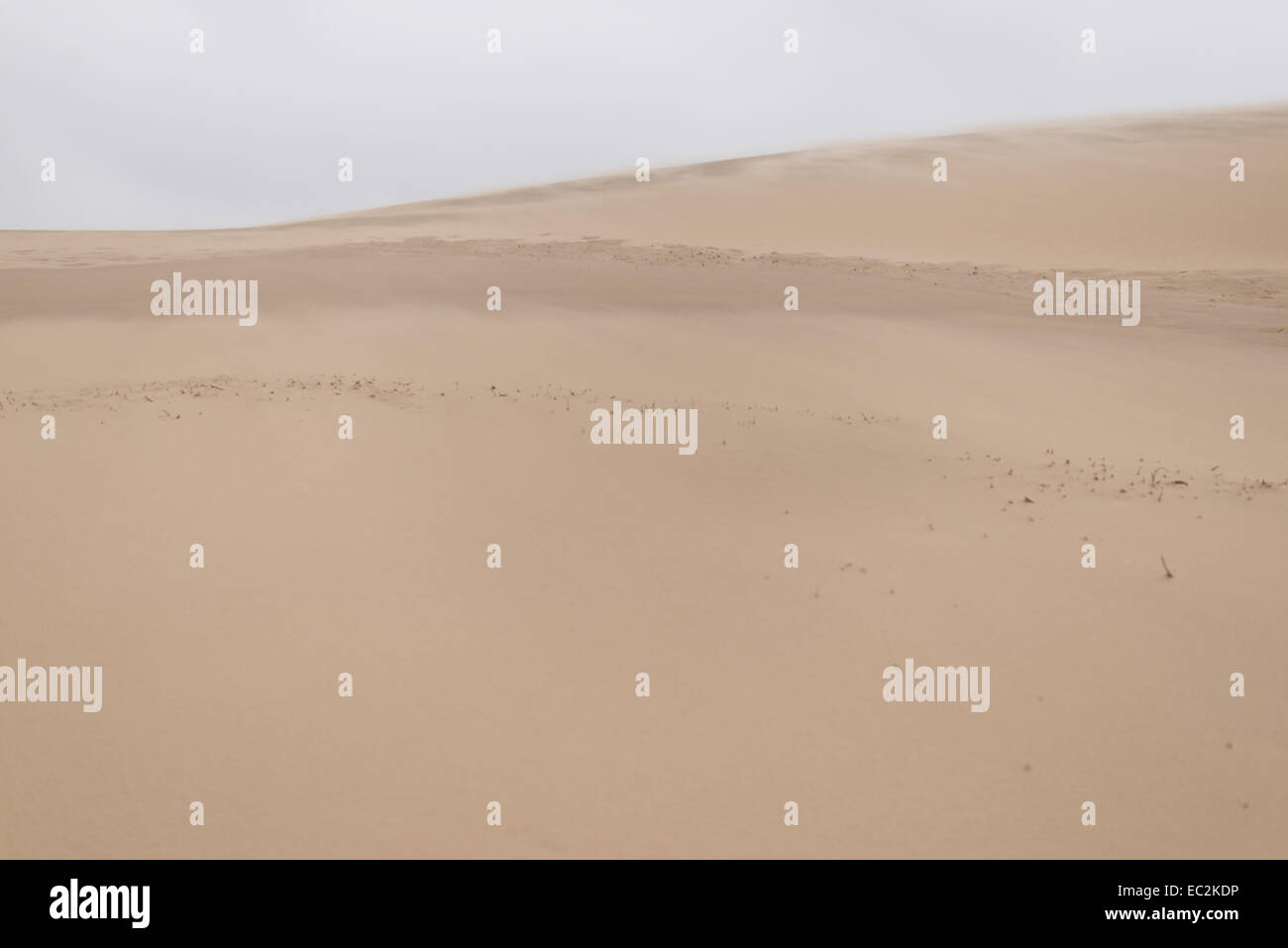 Blowing sand hi-res stock photography and images - Alamy