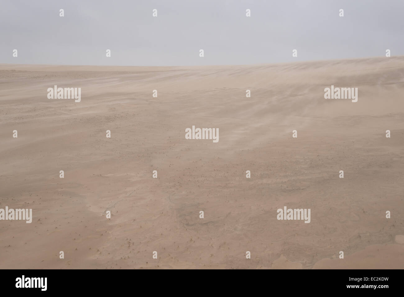 Sand blowing over sand dune in wind on a stormy day Stock Photo - Alamy