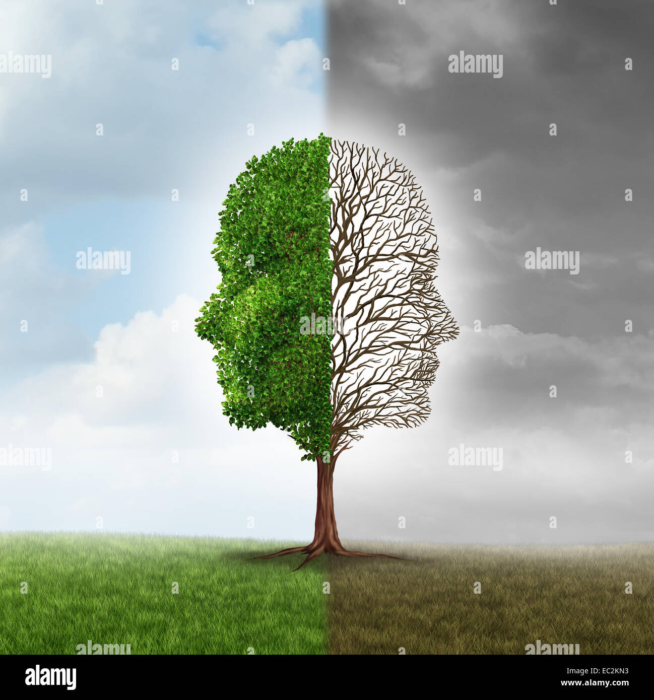 Two half faces High Resolution Stock Photography and Images - Alamy